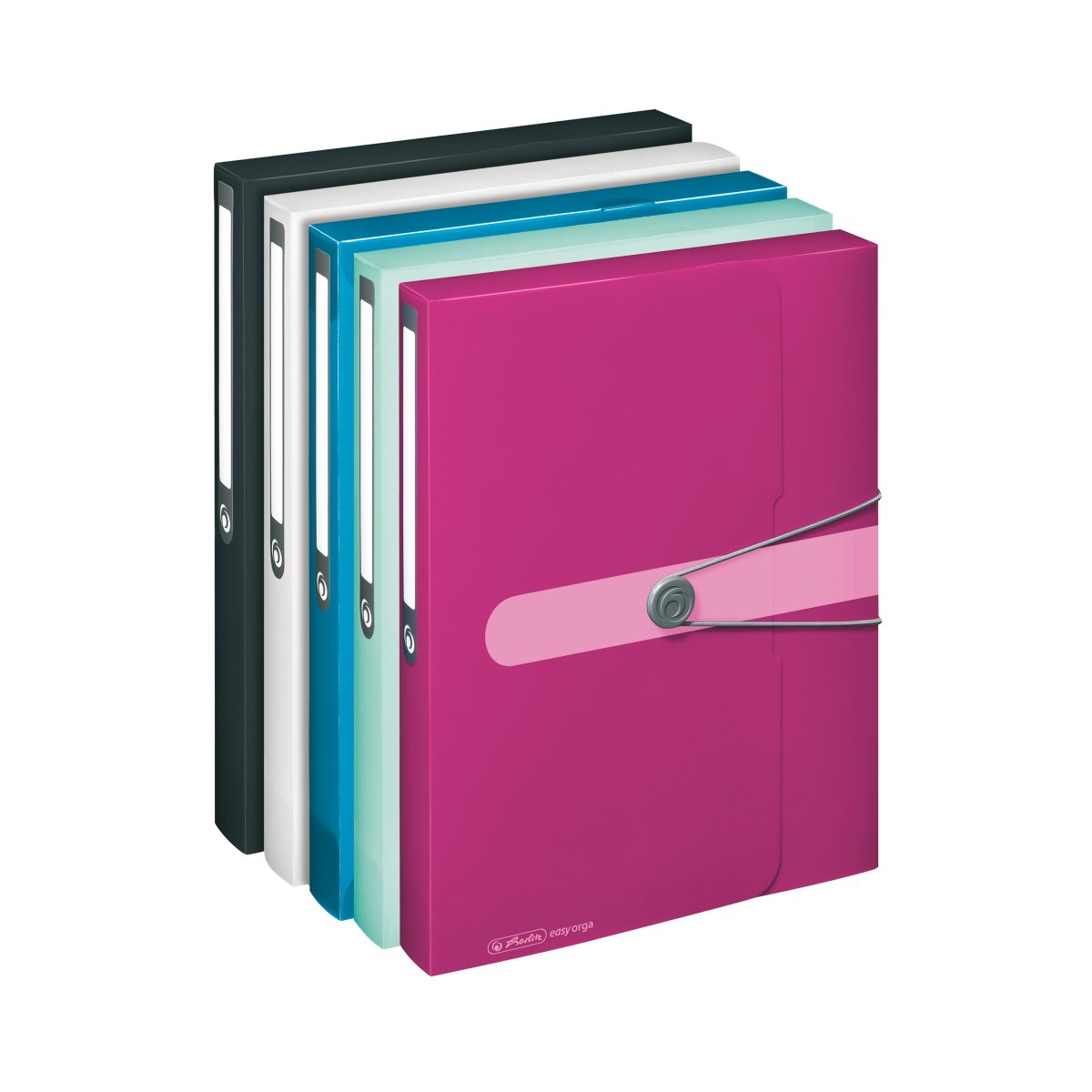 папка для документов А4 РР прозрачная синяя - Herlitz